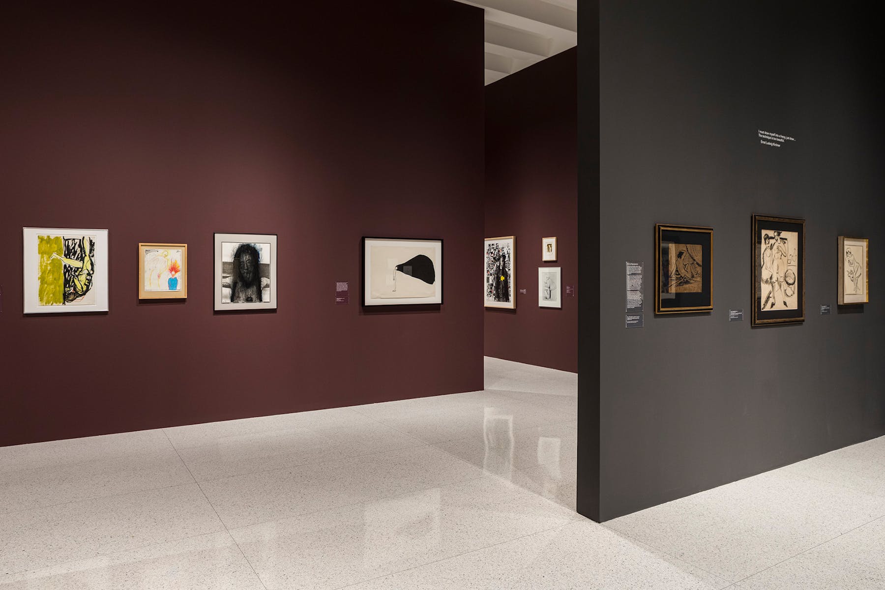 The Expressionist Figure: The Miriam and Erwin Kelen Collection of Drawings