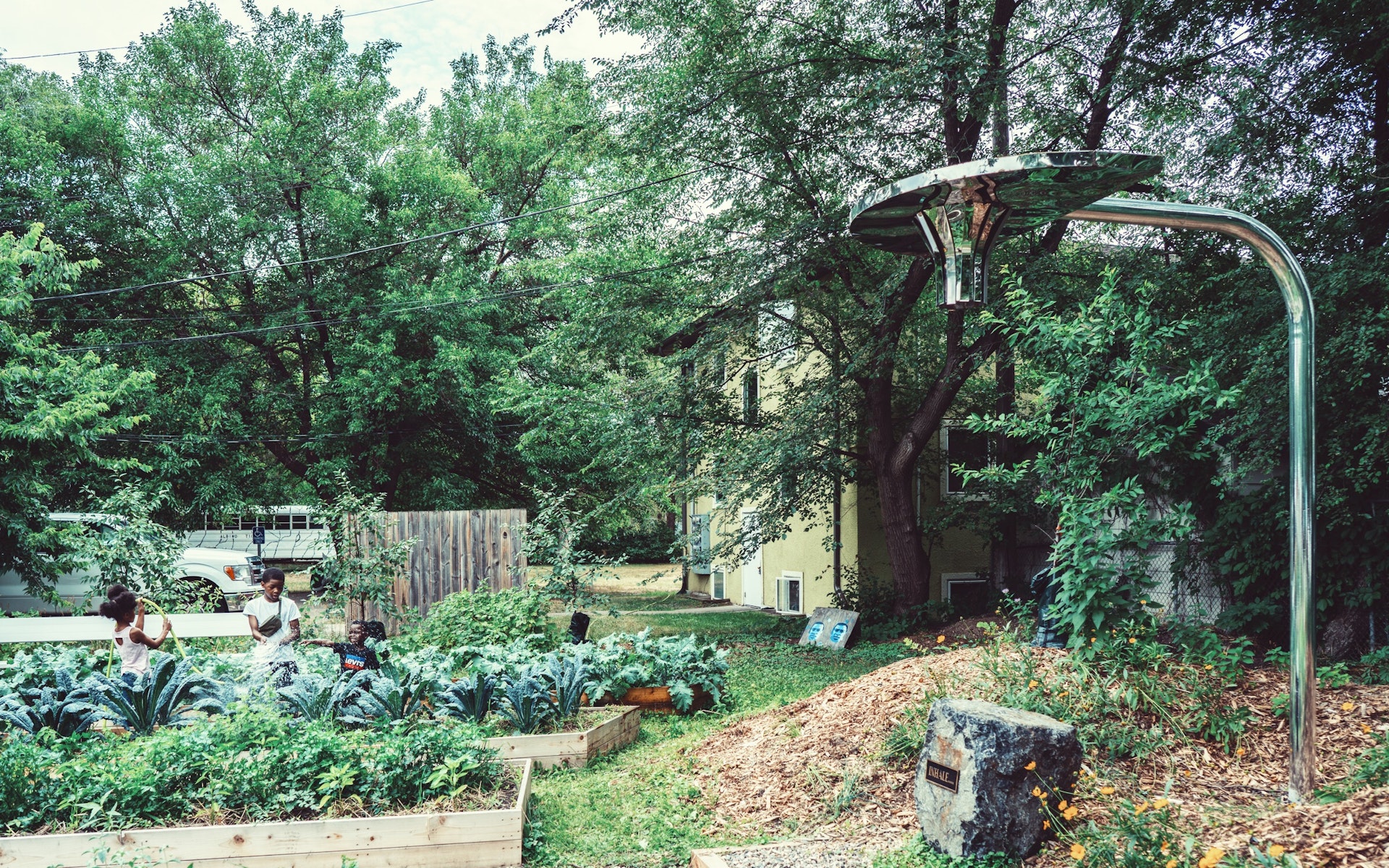 Making Power in the Desert of Whiteness: Jordan Weber’s Prototype for ...