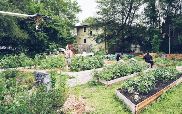 Making Power in the Desert of Whiteness: Jordan Weber’s Prototype for ...