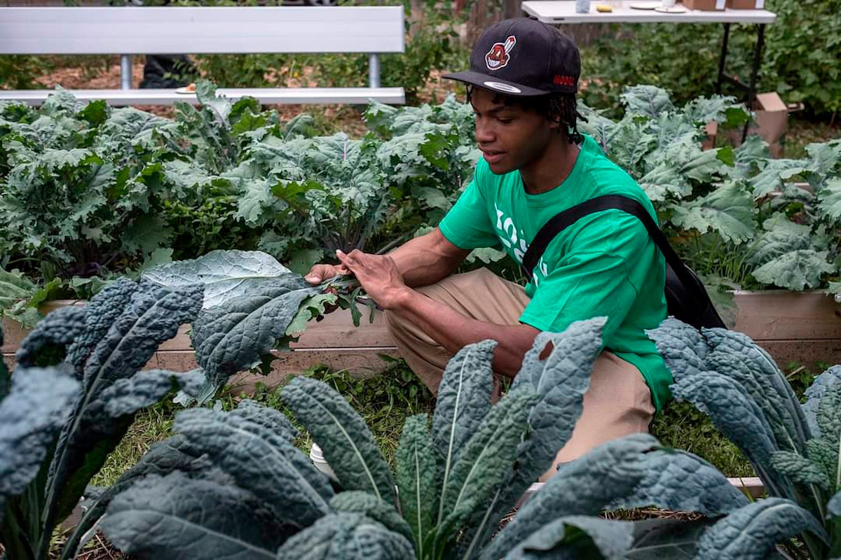 Making Power in the Desert of Whiteness: Jordan Weber’s Prototype for ...