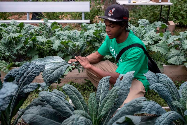 Making Power in the Desert of Whiteness: Jordan Weber’s Prototype for ...