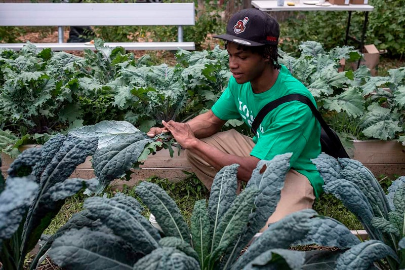 Making Power in the Desert of Whiteness: Jordan Weber’s Prototype for ...